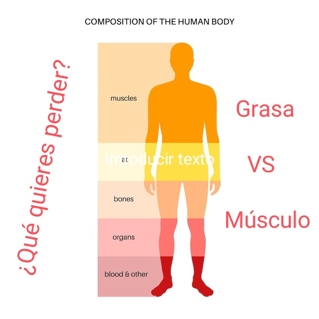 ¿Qué quieres perder? Grasa vs músculo - APR. EDUCADOR FÍSICO DEPORTIVO